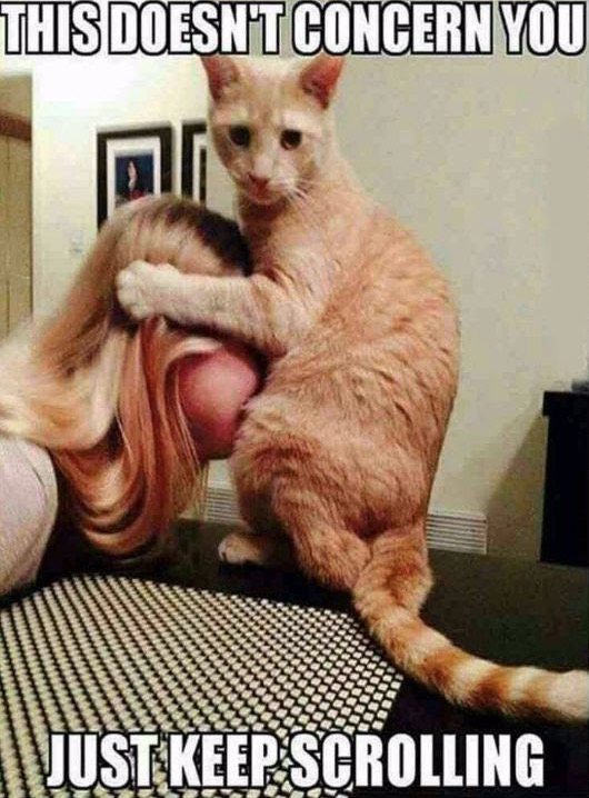 This Doesn t Concern You Funny Faxo