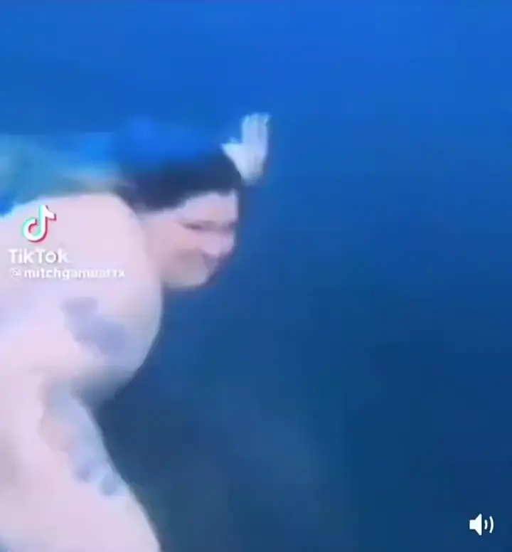 The Little Mermaid - Video - Faxo