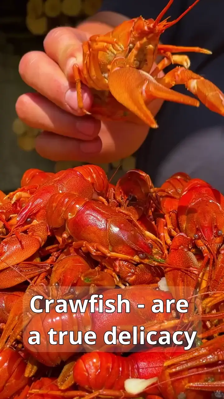 Golden crawfish boiled with potatoes, corn, and vibrant spices - a ...