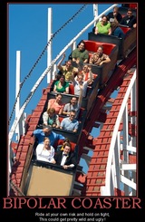 bi polar coaster definition - Faxo